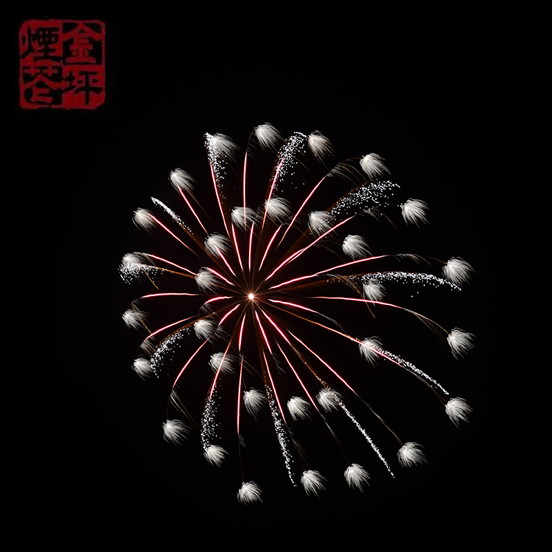 China 4″ series Japanese style shell Manufacture and Factory | JinPing